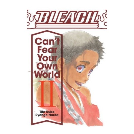 Bleach Novel V02 Can't Fear Your Own World